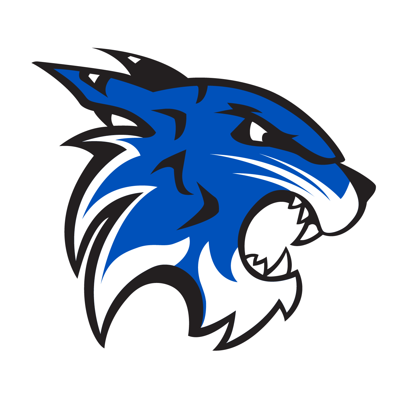 Summer Camp Information – Davidson & Weaver Athletics